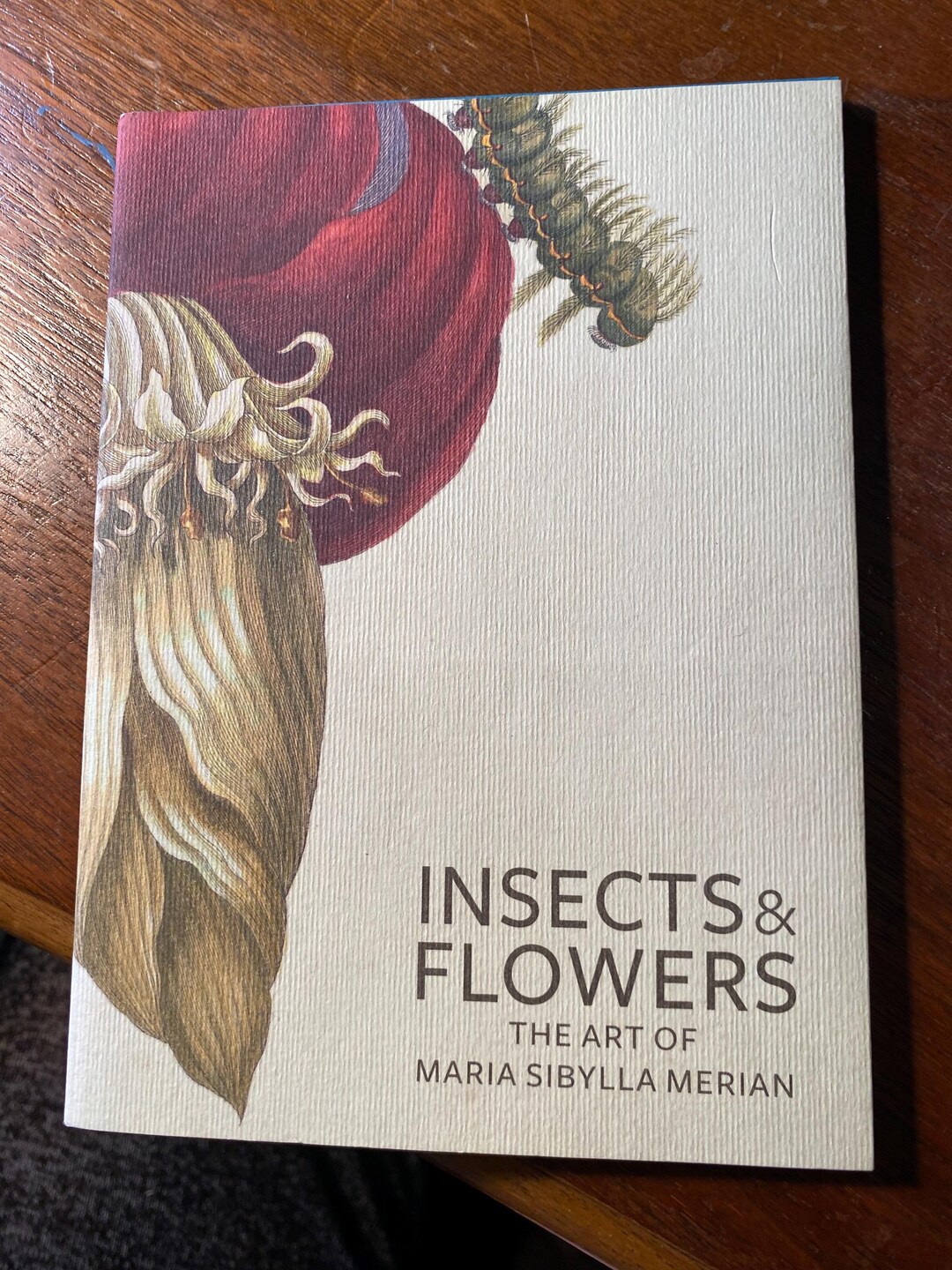 Insects & Flowers the Art of Maria Sibyl Merian - 2008 - Impressions in ...