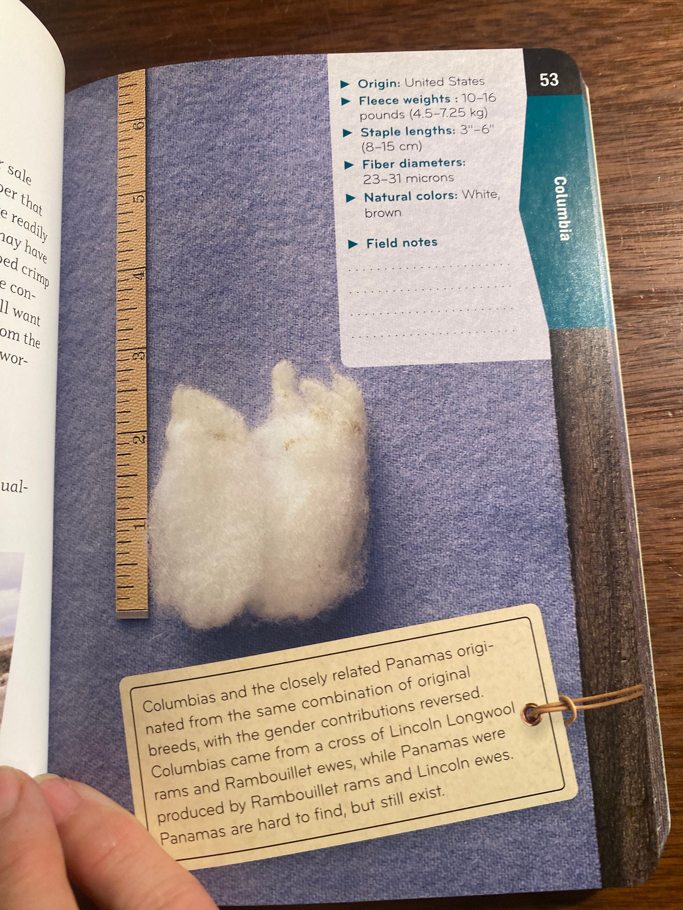 The Field Guide to Fleece - 100 Sheep Breeds and How to Use Their ...