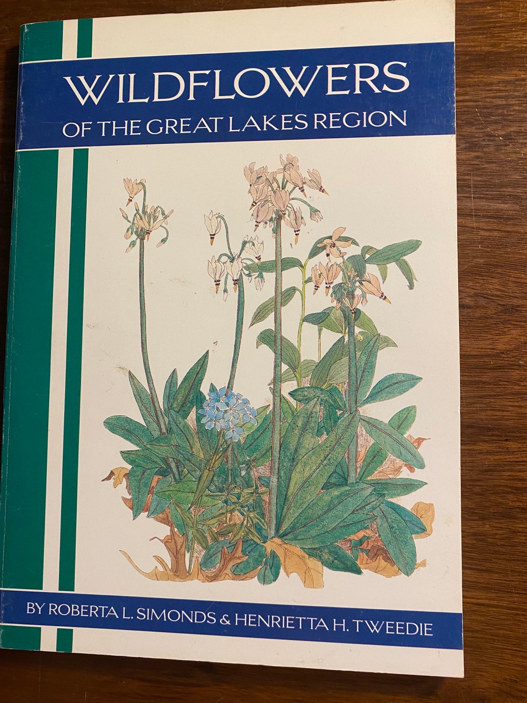 Wildflowers of the Great Lakes Region - Simonds / Weedie - 1997 ...