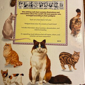 The Cat Wall Chart Looking at Nature 50 Cat Pictures - Etsy