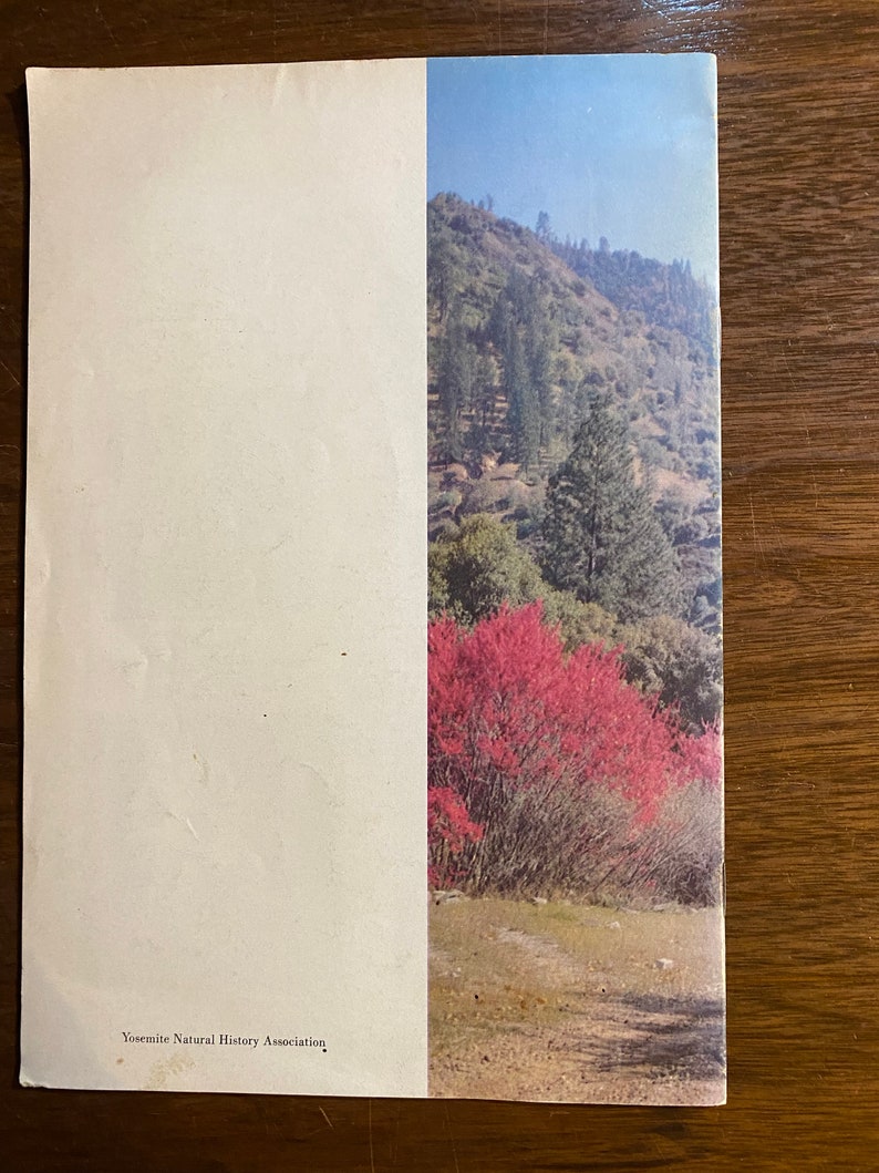 Wild Flowers of the Sierra - Yosemite National Notes V37 No 6 - Park CA ...