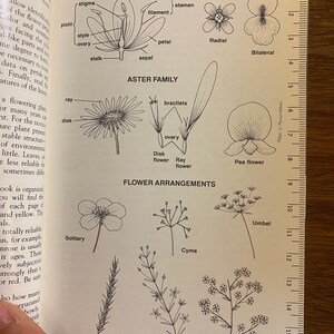 Wildflowers Reference Field Guide North America - R Mohlenbrock - 1987 ...