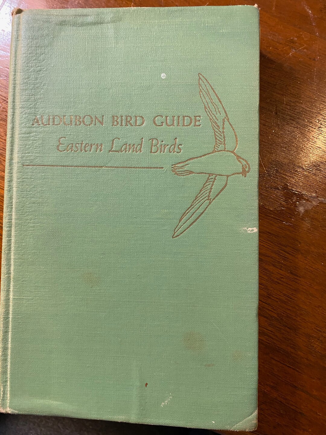 Audubon Bird Guide - Eastern Small Land Birds - Richard Pough 1949 B&W ...