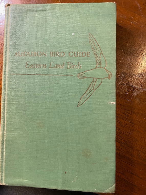 Audubon Bird Guide Eastern Small Land Birds Richard Pough | Etsy