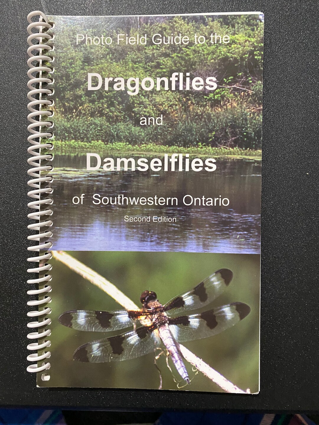 Dragonflies and Damselflies of Southwestern Ontario (canada) - Photo ...