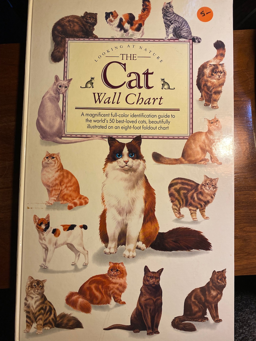 The Cat Wall Chart - Looking at Nature - 50 Cat Pictures - 1991 ...