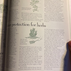 Complete Book of Herbs Practical Guide to Growing & Using - Etsy