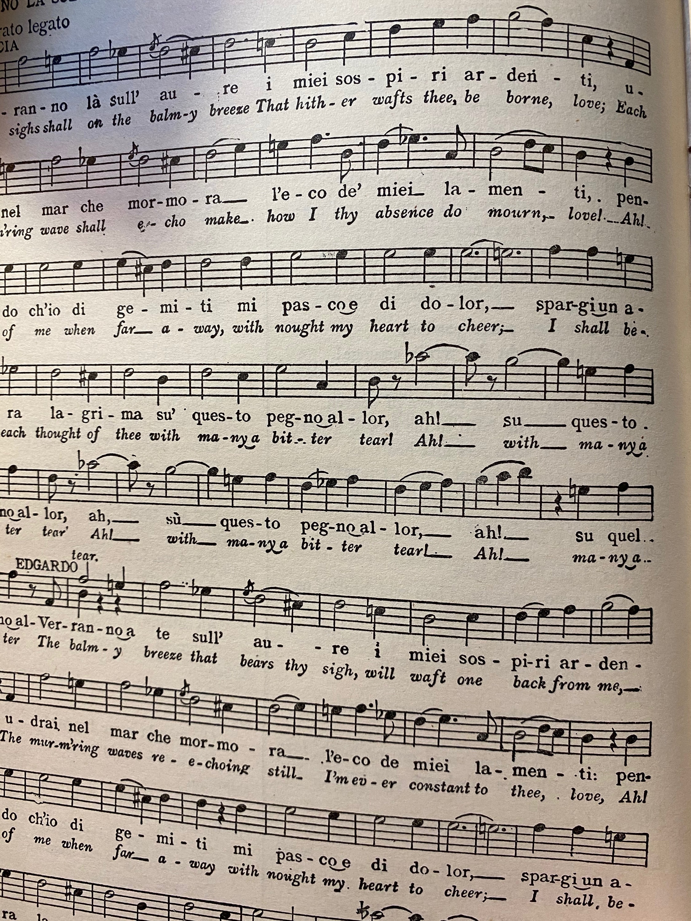 Authentic Librettos of the Italian Operas With English | Etsy