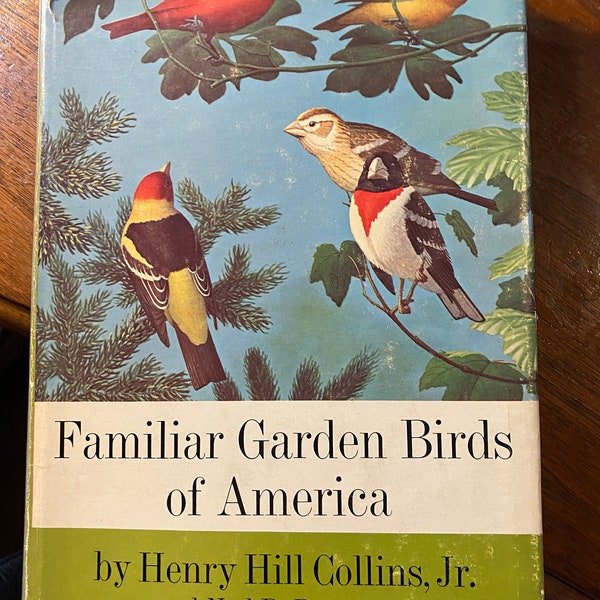 Henry Classification - Etsy