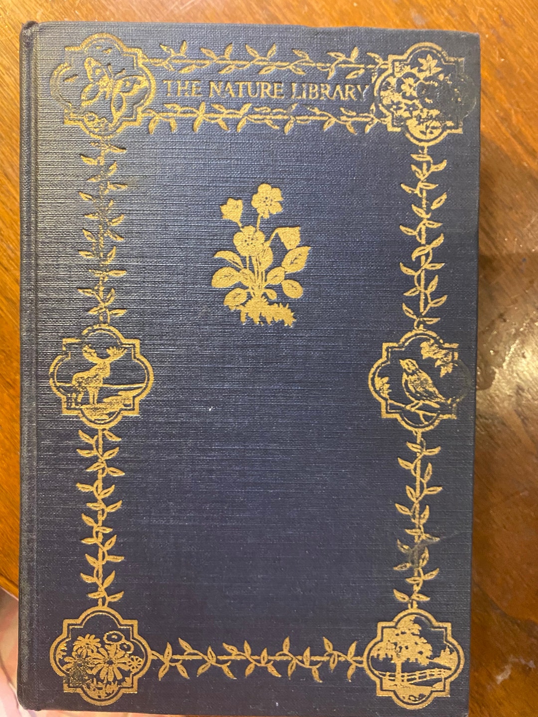 Garden Flowers the Nature Library A Guide to Names Robert Mccurdy 1926 ...