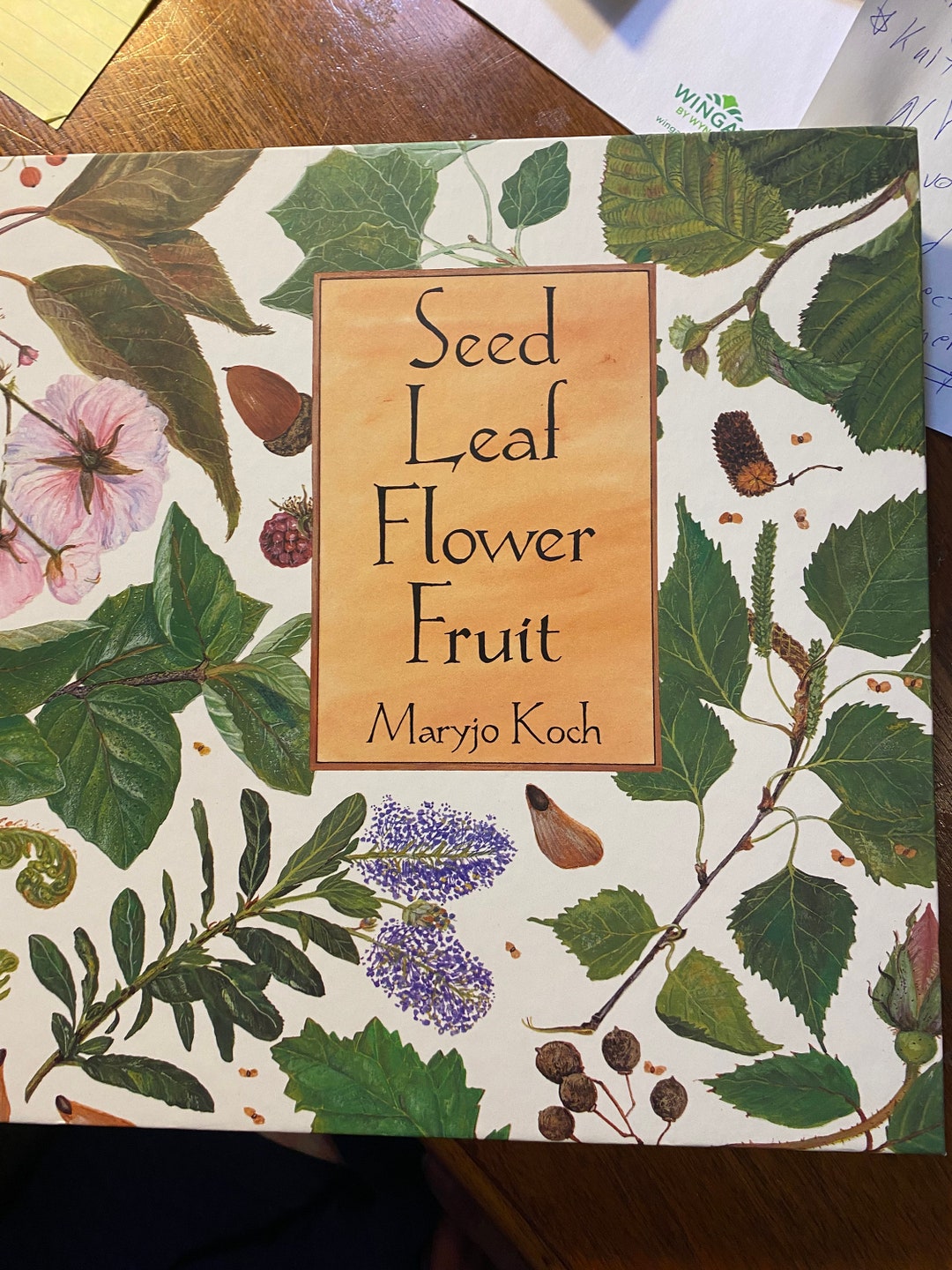 Seed Leaf Flower Fruit - Maryjo Koch - 1995/8 - Impressions in the ...