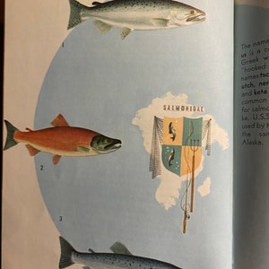 Know Your Fish - Tom Dolan - Sports Afield - 1960- Guide ...