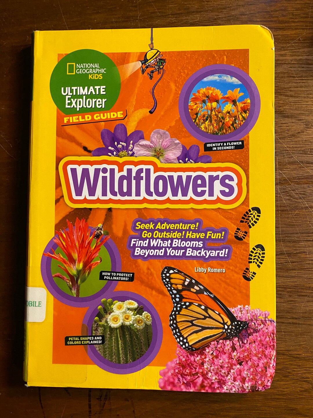 Wildflowers Ultimate Explorer Field Guide National Geographic Kids ...