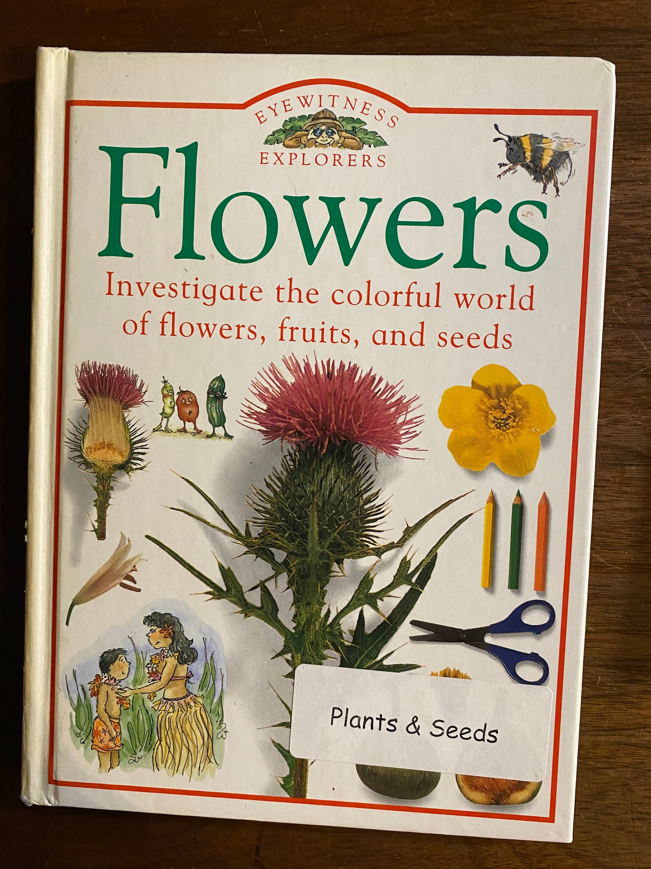 Flowers - Investigate Plants / Seeds - Eyewitness Explorers - Guide ...