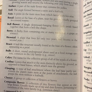 Wildflowers of Michigan Upper Lower Peninsulas - Stan Tekiela - 2000 ...