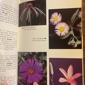 Wildflowers Reference Field Guide North America - R Mohlenbrock - 1987 ...