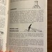 The Story of Fluorescence - Raytech Industries - 1965 - Understand ...