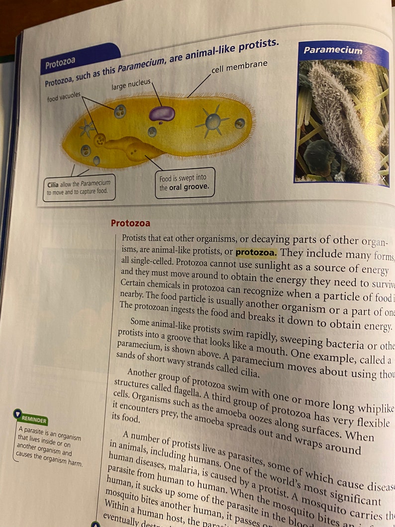 Diversity of Living Things animals Adaptations Plants | Etsy