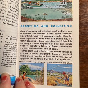 Golden Guide Pond Life Plants Insects - George Reid / Zim - 1987 ...