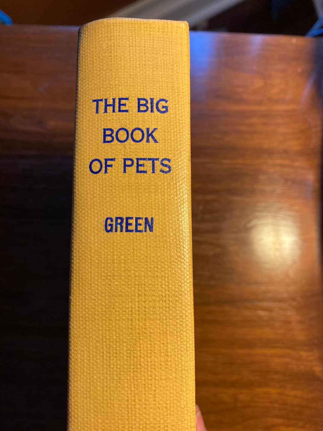 The Big Book of Pets - 1966 - Margaret Green - Animal Nature - Dogs Cat ...