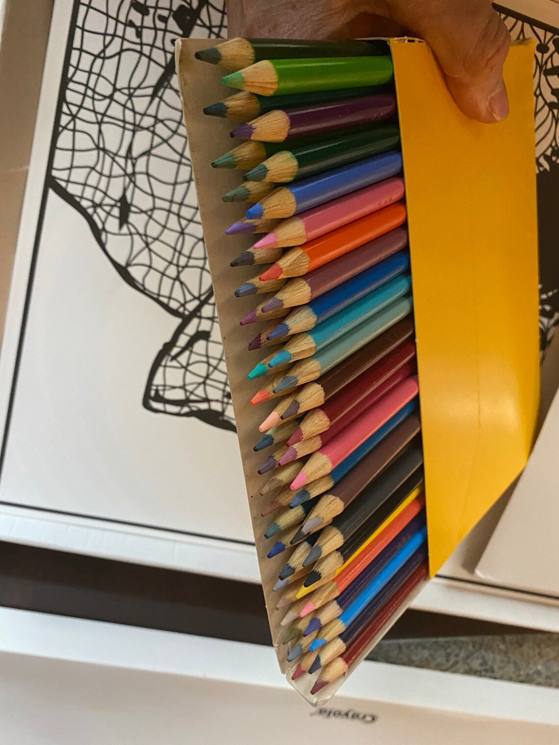 Color Escapes Premium Coloring Pages - Crayola - 2015 - 12 Sheets ...