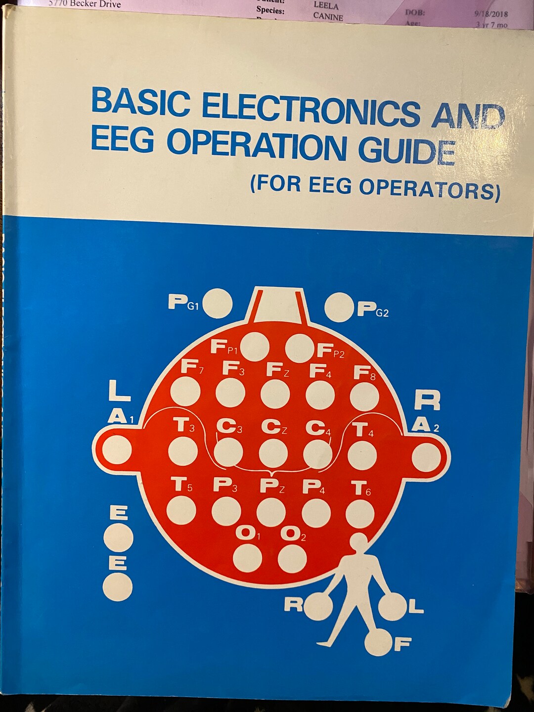 Basic Electronics and EEG Operation Guide - for EEG Operators - Nihon ...