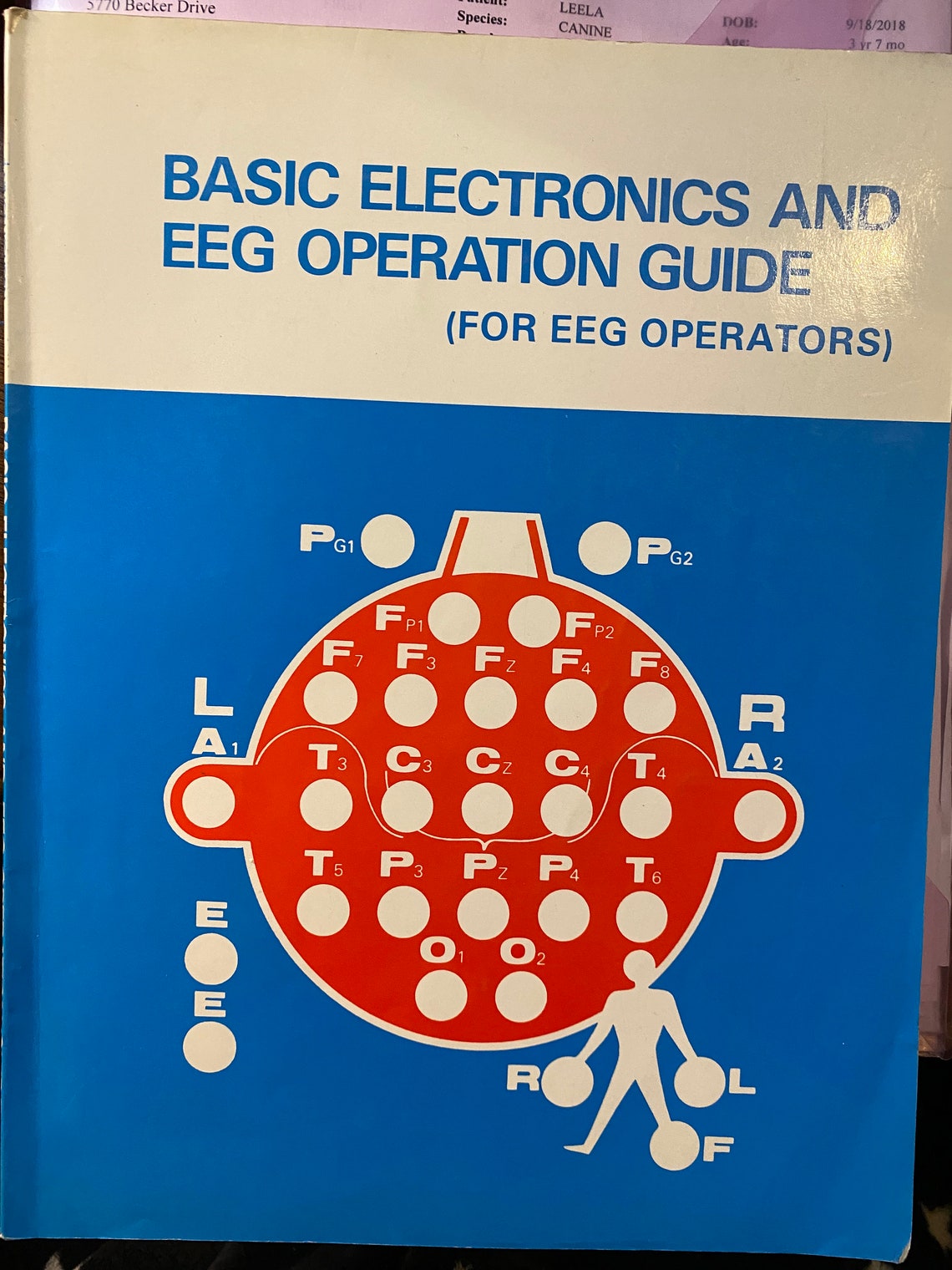 Basic Electronics and EEG Operation Guide for EEG Operators | Etsy