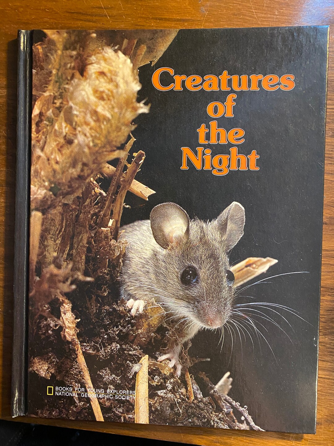 Creatures of the Night: Nocturnal Animals - Young Explorers National ...