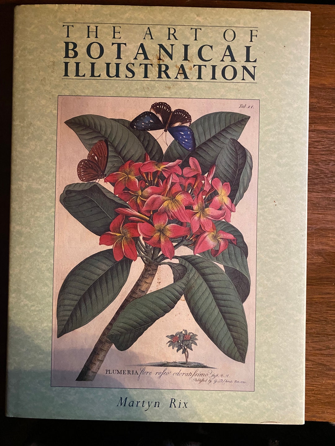 The Art of Botanical Illustration - Martin Rix - 1981 - Identification ...