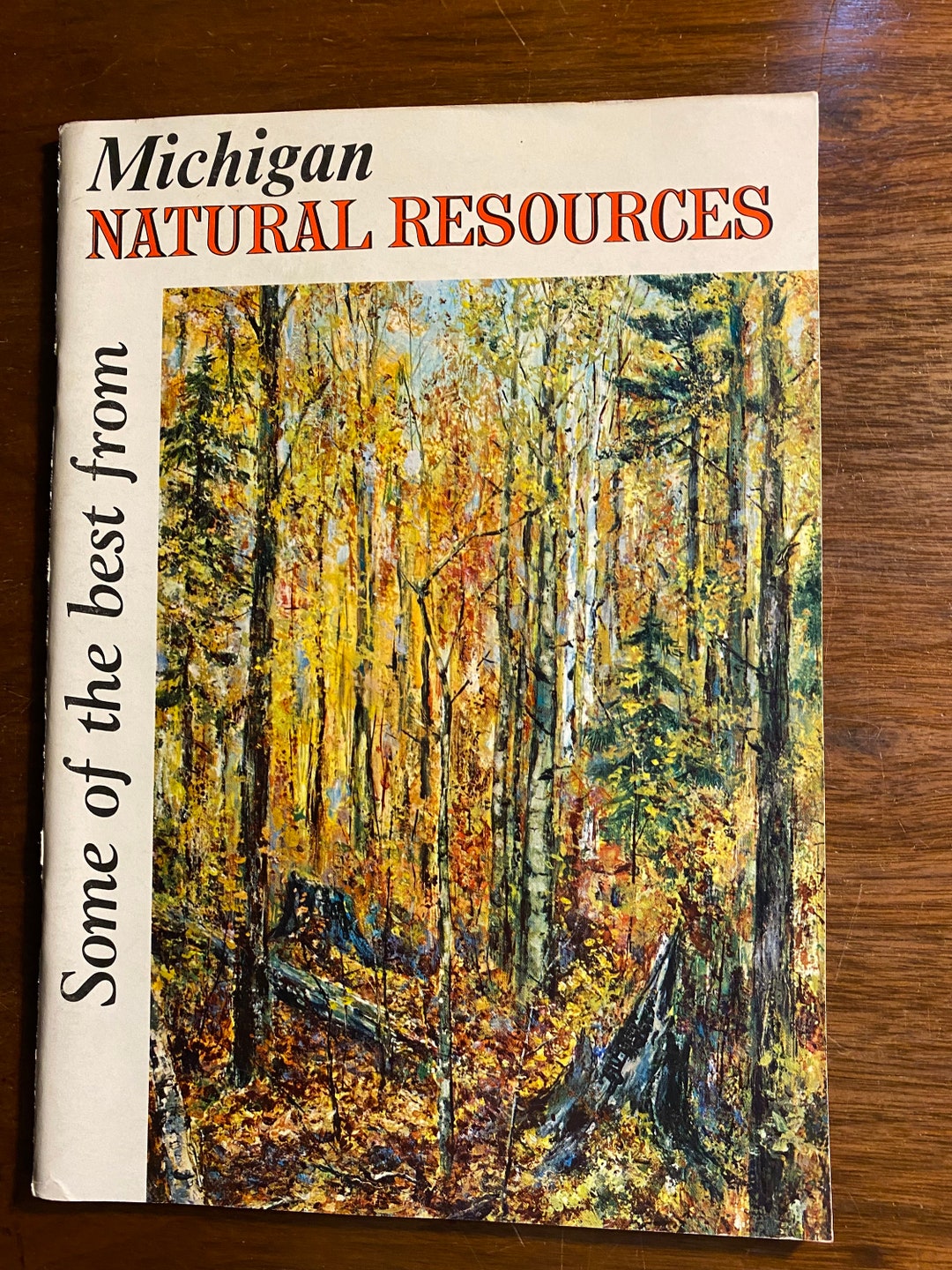 Michigan Natural Resources - Some of the Best From - Mushrooms ...