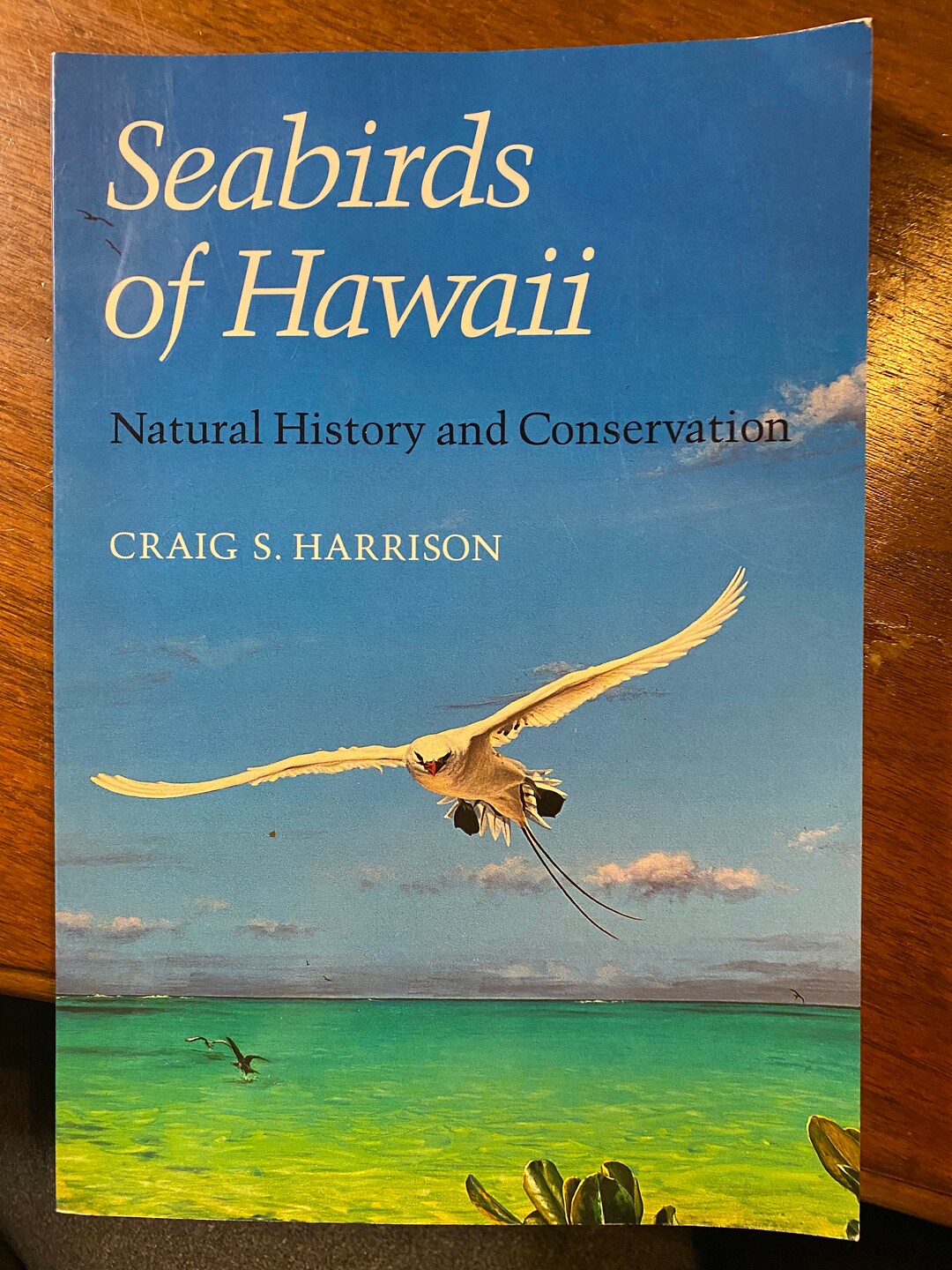 Seabirds of Hawaii Natural History / Conservation - Craig Harrison ...
