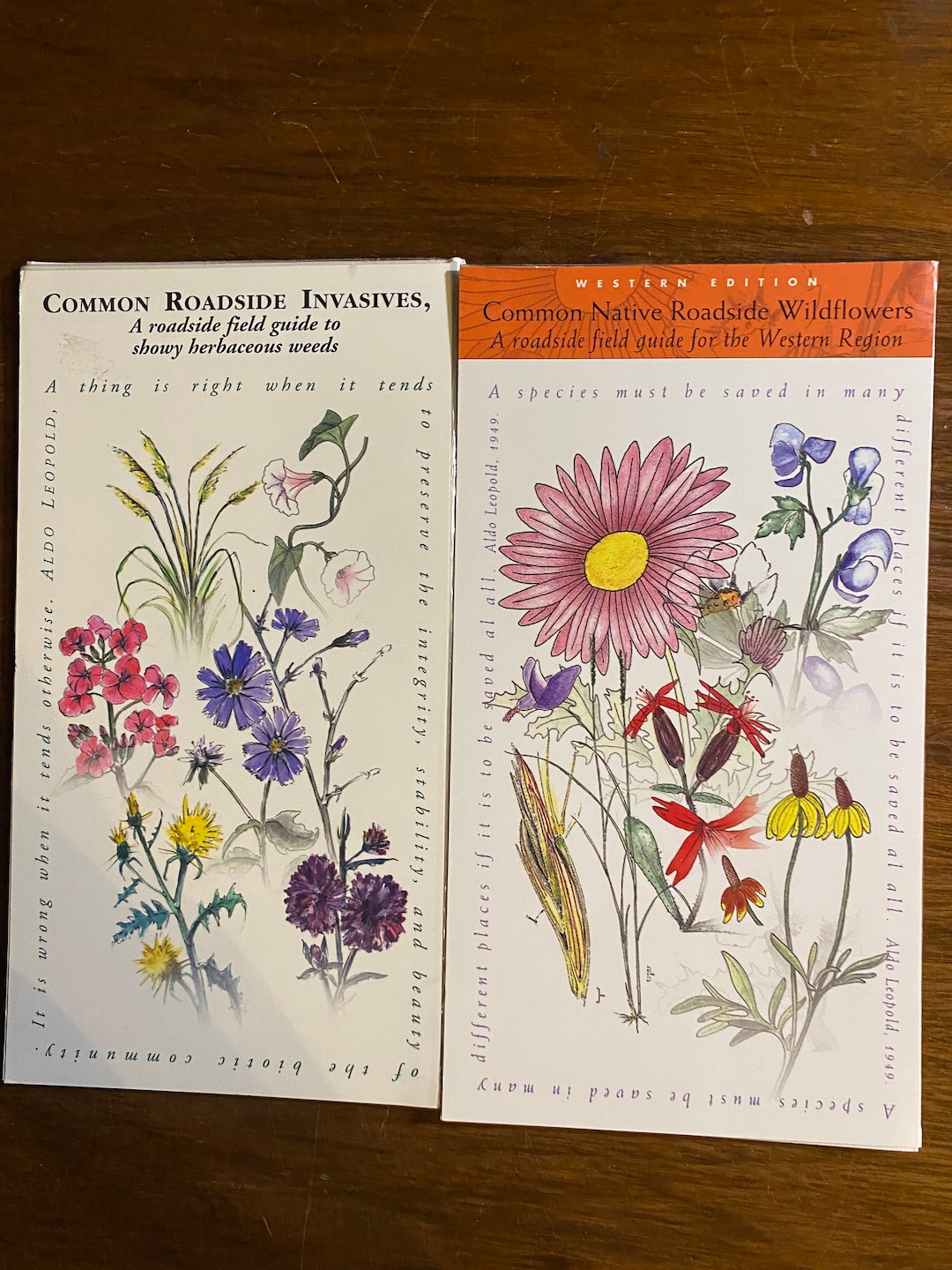 Fold Out Carry Identification Guides: Choose 1 Wildflowers or 2 ...