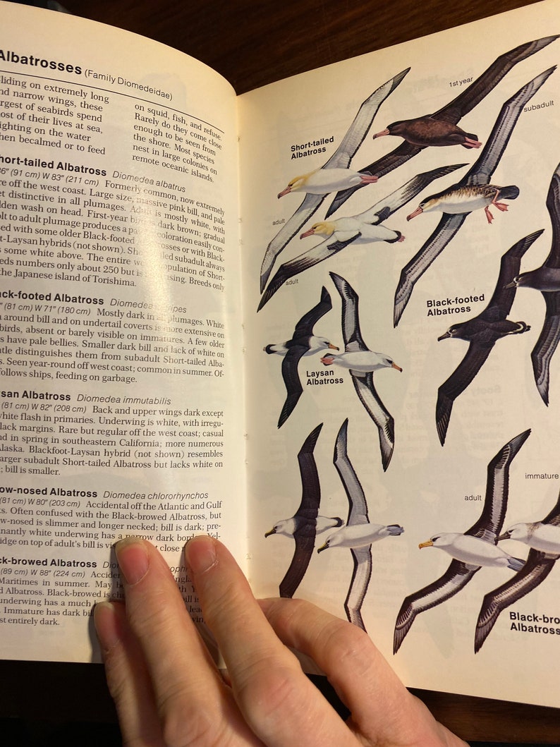 Birds of North America Field Guide to 2nd Edition - Shirley Scott ...