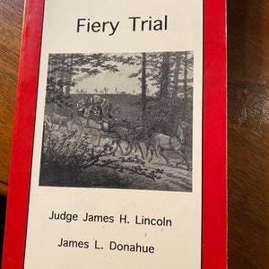 Fiery Trial: Great Fire of 1881 - Michigan History - 1994 - James ...