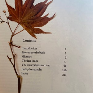 Trees in Britain Europe and North America - Guide - Roger Phillips ...