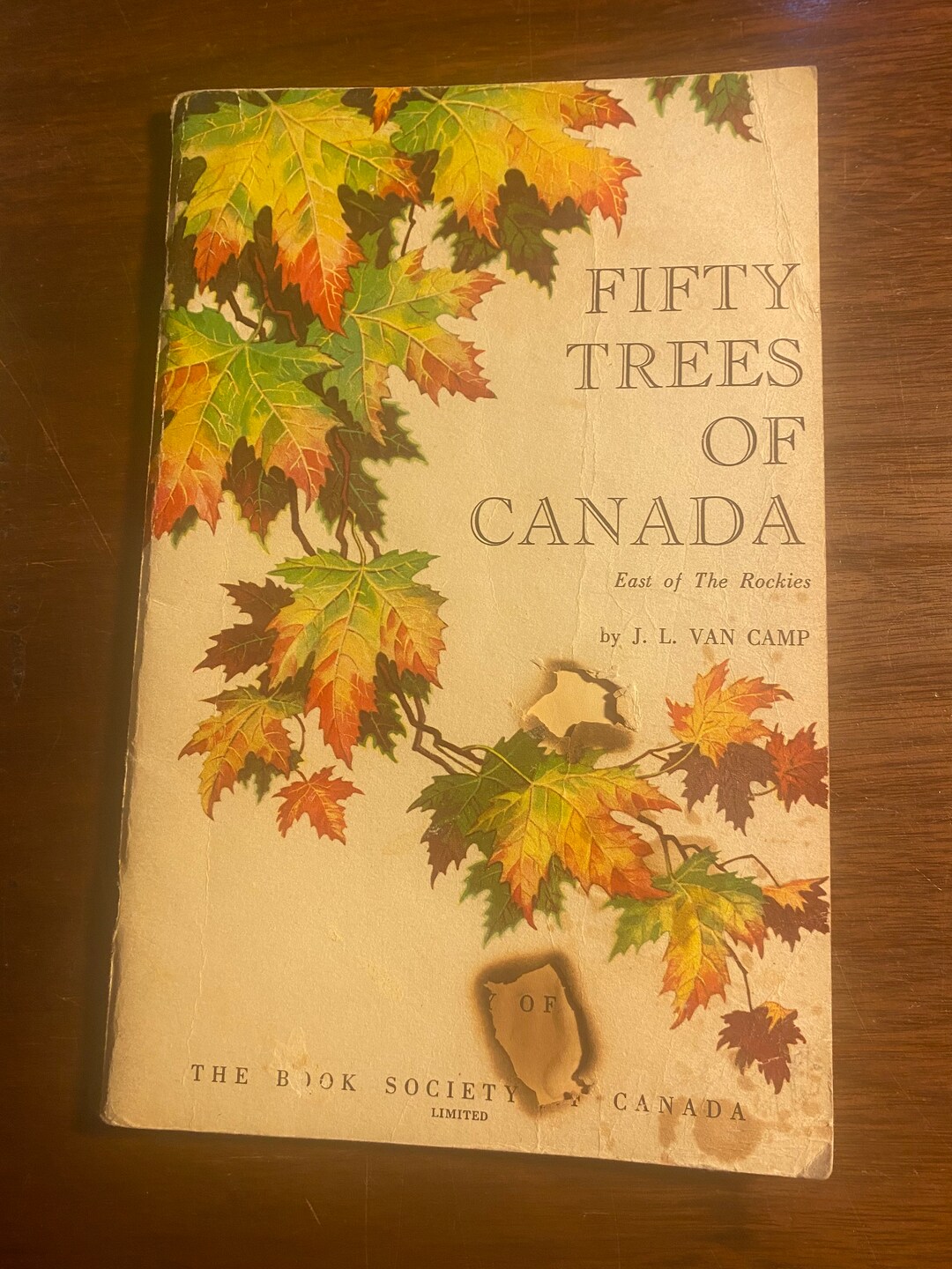 Fifty Trees of Canada East of the Rockies - J L Van Camp - Guide 1952 ...