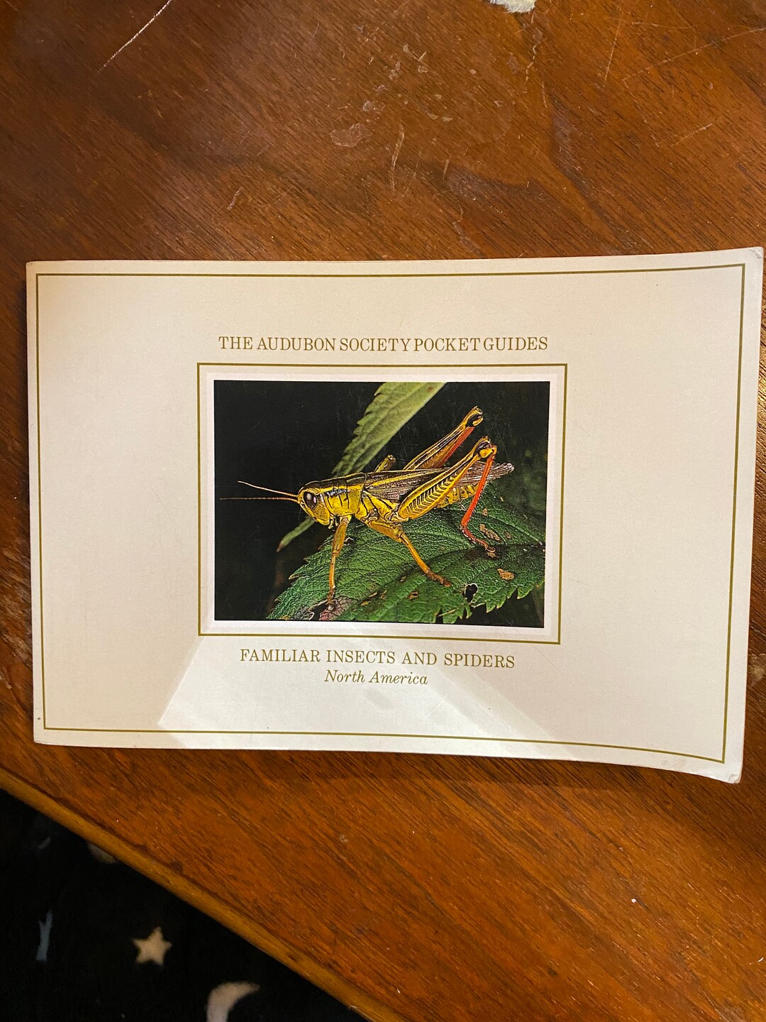 Guide to Familiar Insects and Spiders North America - John Farrand ...