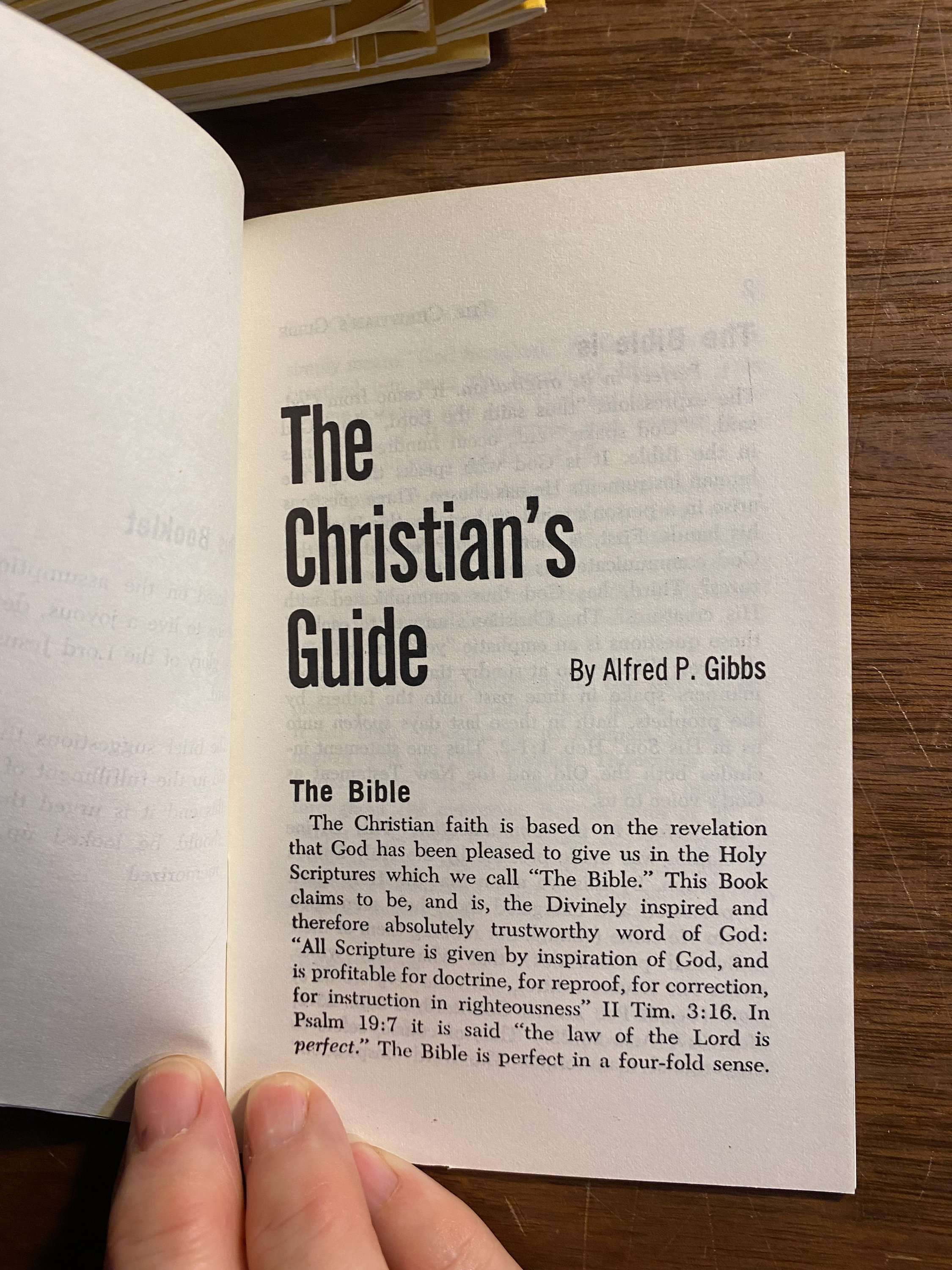 The Christian's Guide - Manual of Faith and Life: A Guide for ...