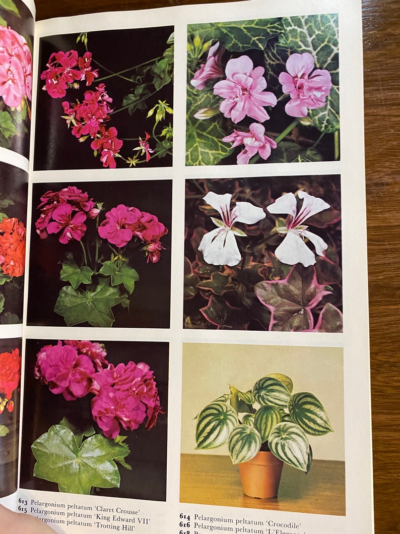 Color Dictionary Encyclopedia of Flowers & Plants for Home and Garden ...