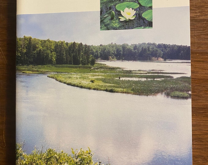 Great Lakes Wetlands A Field Guide - Guide Michigan Region - Walter ...