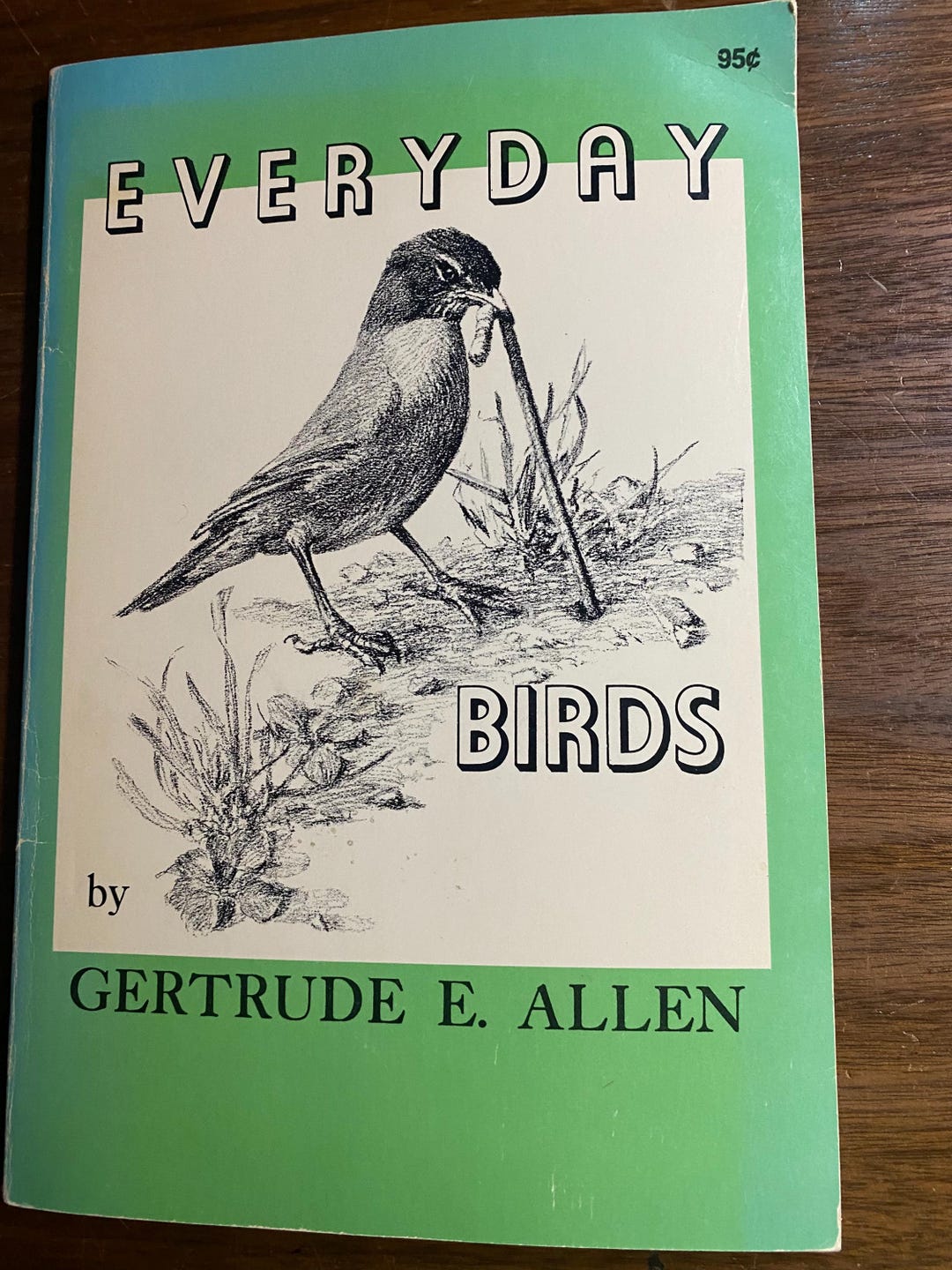 Everyday Birds - Identification Guide to Common Backyard Birds ...