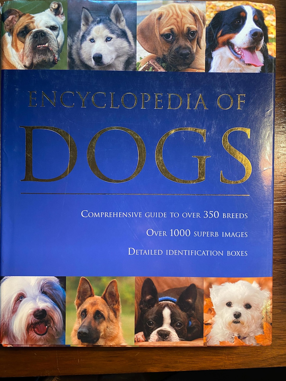 Encyclopedia of Dogs - David Alderton - 2008 - Guide - Informational ...