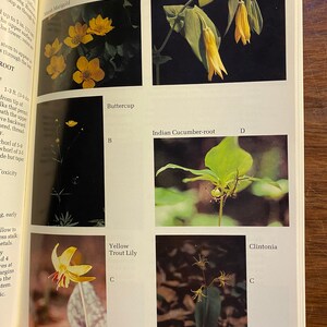 Michigan Wildflowers Upper / Lower Peninsulas - Harry Lund - 1988 ...