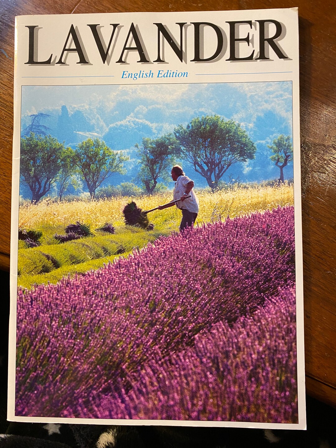 Lavender: Flowers / Foliage for Health / Beauty - Marc Guitteny - 2001 ...