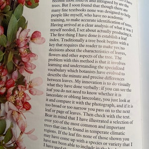 Trees in Britain Europe and North America - Guide - Roger Phillips ...