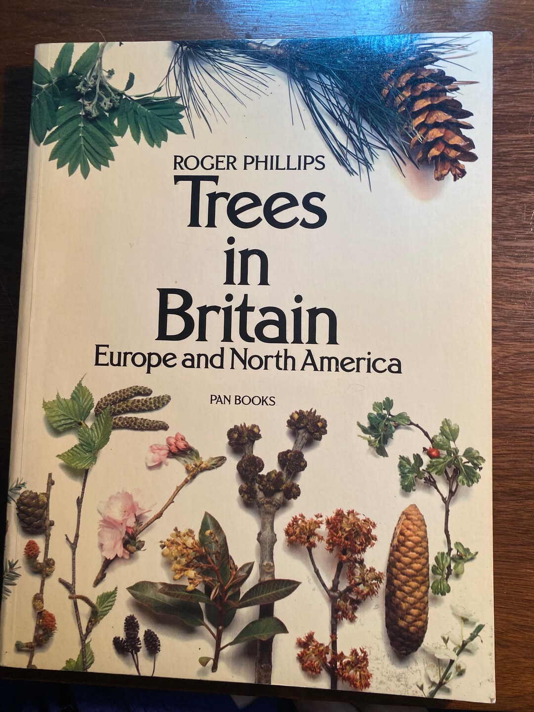Trees in Britain Europe and North America - Guide - Roger Phillips ...