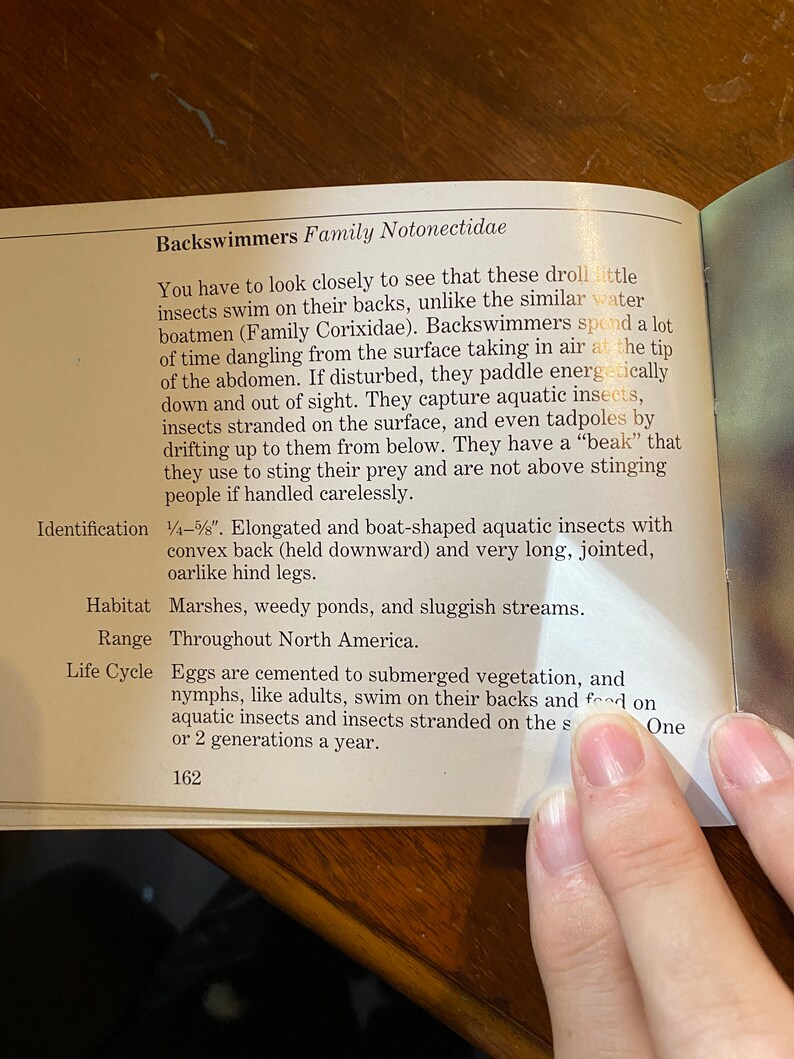 Guide to Familiar Insects and Spiders North America - John Farrand ...
