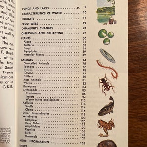 Golden Guide Pond Life Plants Insects - George Reid / Zim - 1987 ...