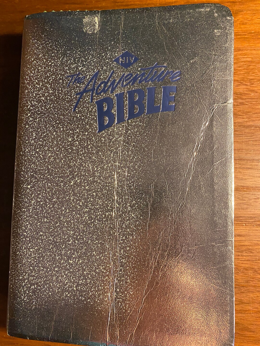 NIV Adventure Holy Bible - for Children - New International Version ...