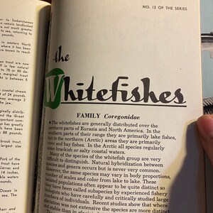 Know Your Fish Tom Dolan Sports Afield 1960 Guide Informational ...